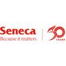 Honours Bachelor of Science in Nursing (Fast track) – Seneca Polytechnic